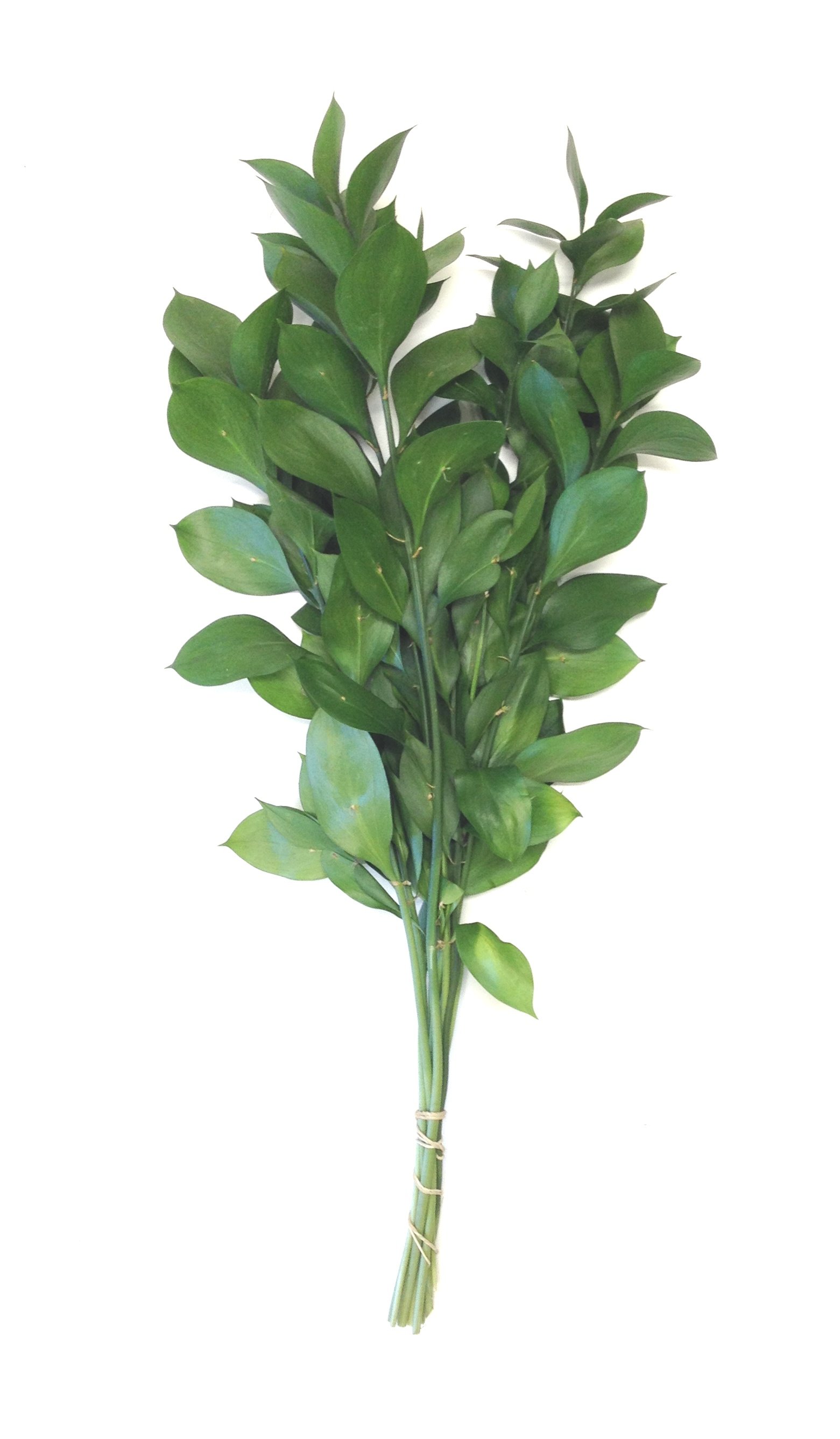 Meet an iBuyFlower grower