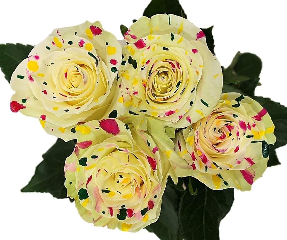 Meet an iBuyFlower grower